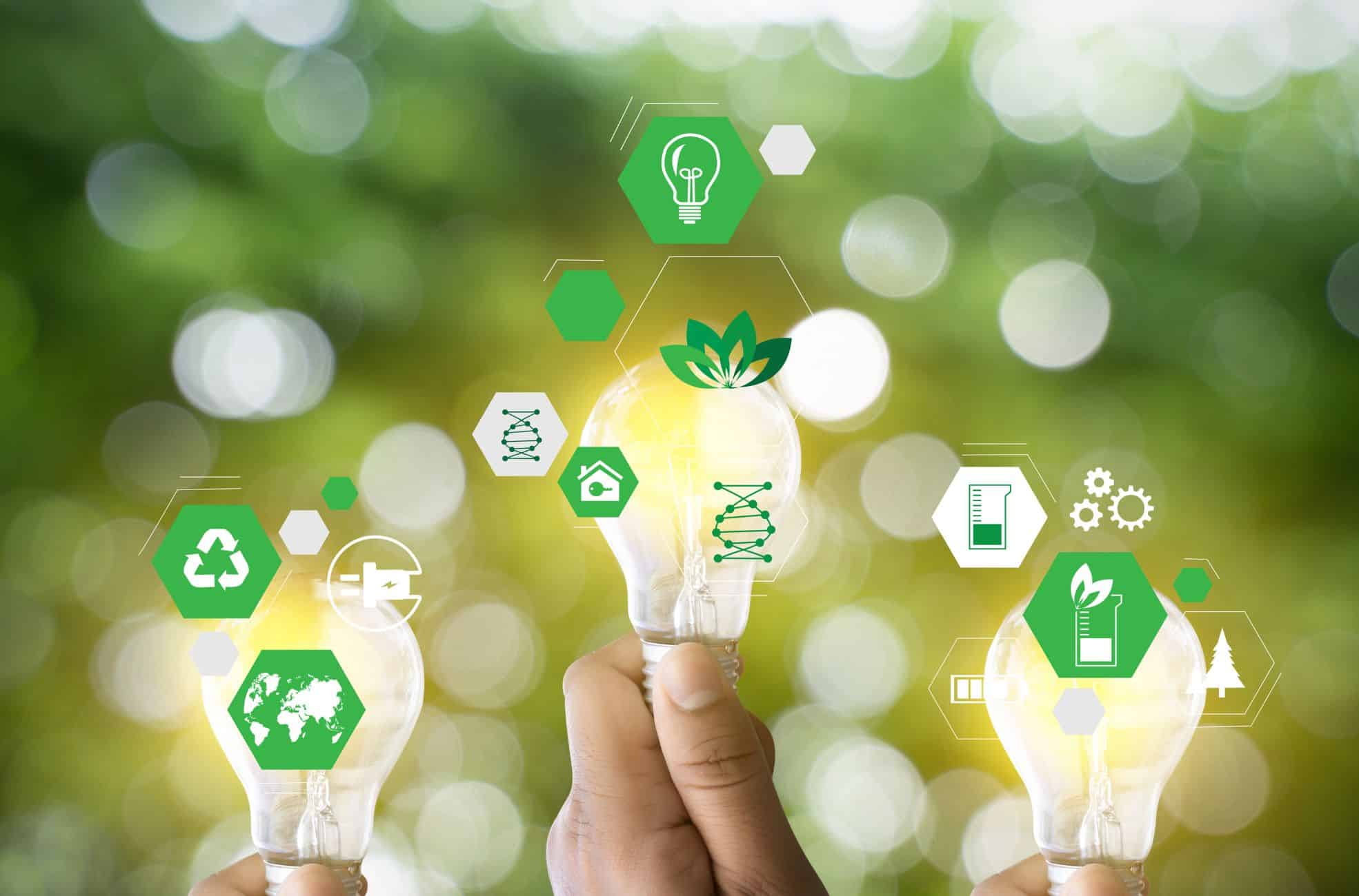 The UAE Net Zero 2050 Strategy - Virtuzone